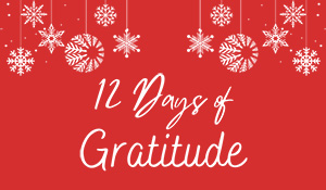 12 days of gratitude Neat Frame